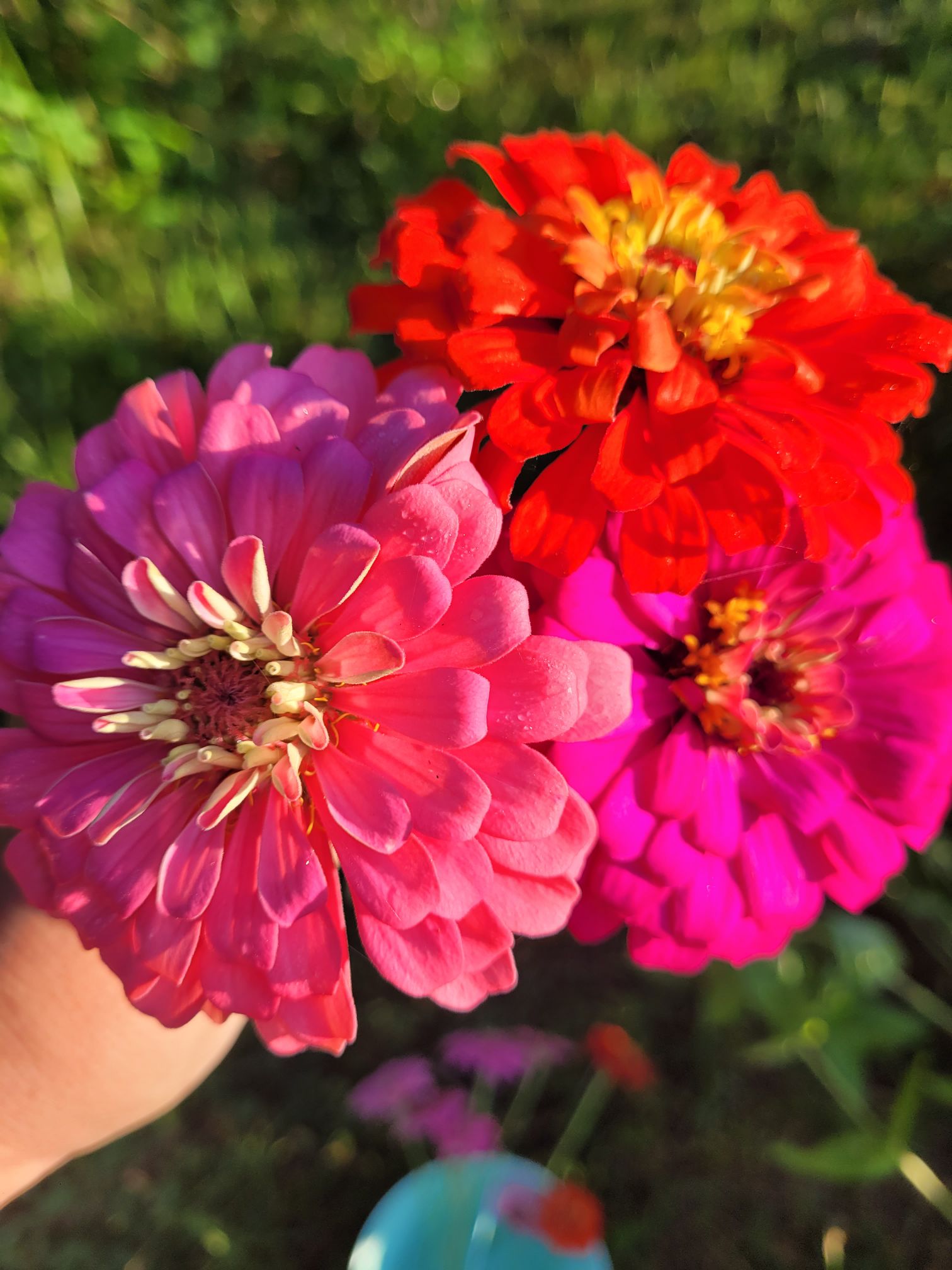 visiting family graves, Resthaven in Baton Rouge, Roselawn Cemetery in ...